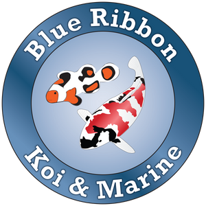 IN-STORE SALTWATER STOCK INVENTORY – Blue Ribbon Koi & Marine